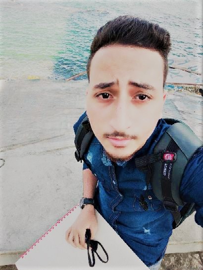 alaa hesham’s CV | ClearVoice Content Portfolio